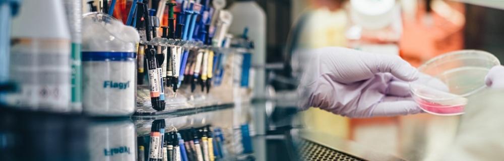 Taipei Medical University